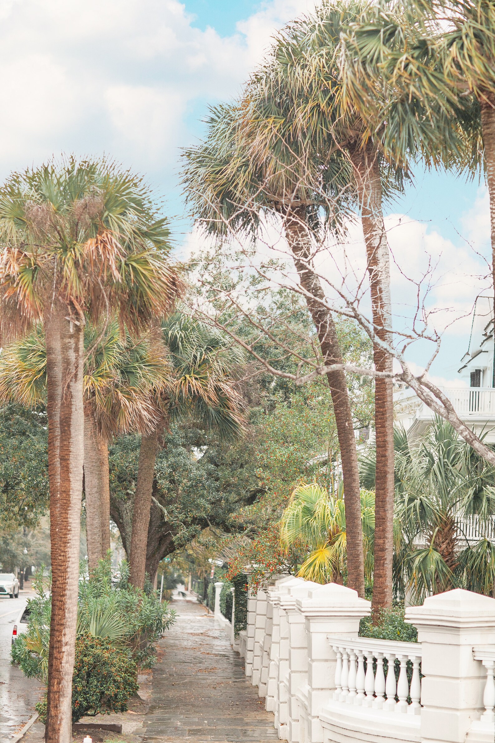 Charleston Print Set Charleston Set of 3 Prints Charleston | Etsy