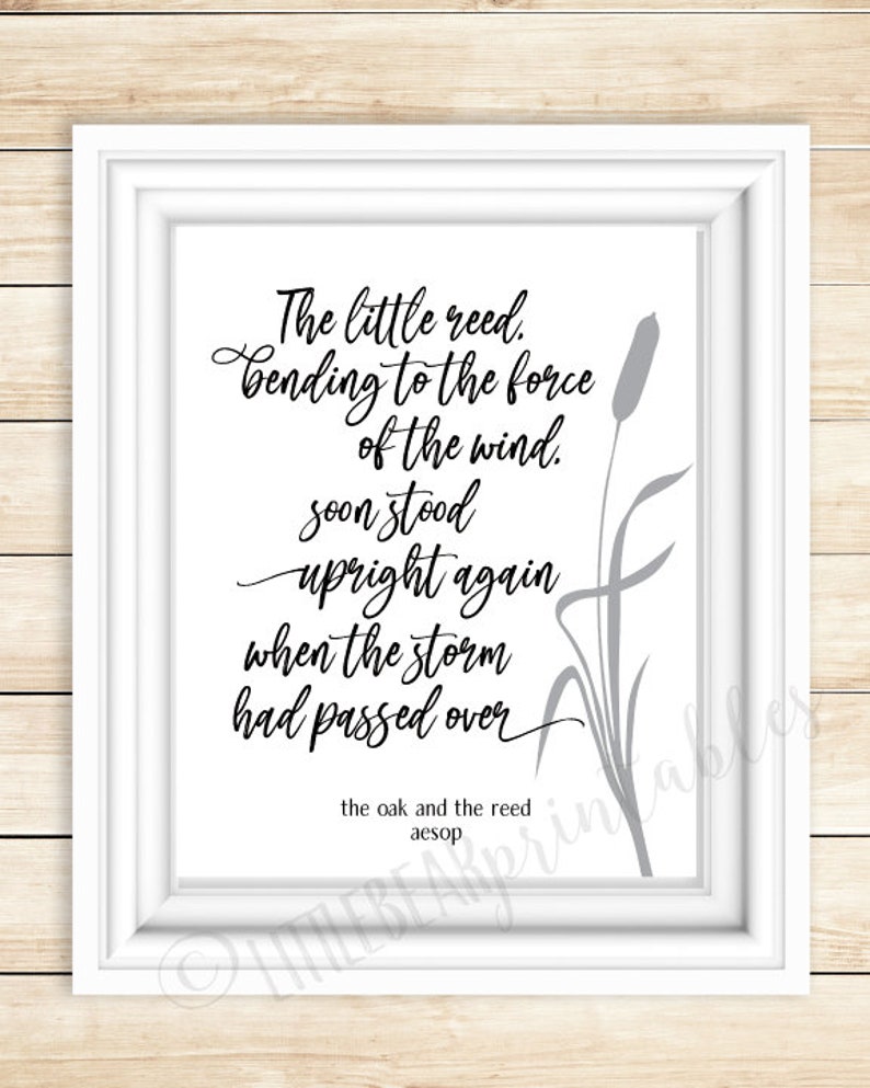 Aesop Fable, the Little Reed, Bending to the Force of the Wind, Stood ...
