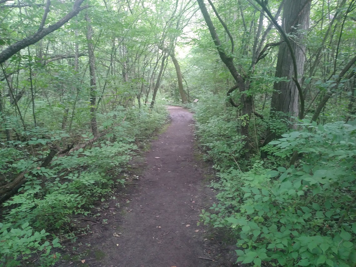 Freeman Path 1 - Etsy