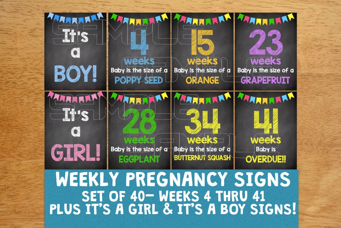 Weekly Pregnancy Chalkboard Signs Weeks 4-41 Maternity Signs - Etsy