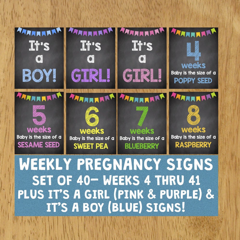 Weekly Pregnancy Chalkboard Signs Weeks 4-41, Maternity Signs ...