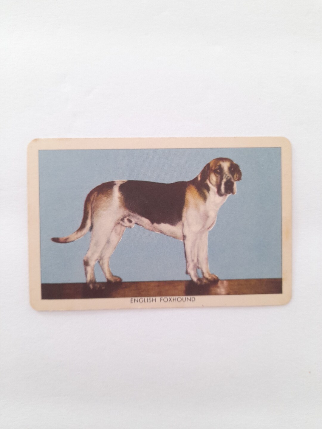Sergeant Preston Challenge of the Yukon Dog Cards 1950s English ...