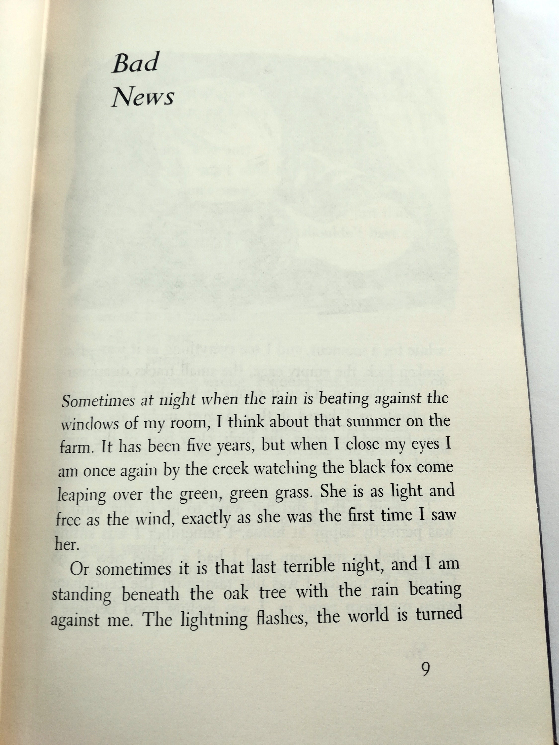 Midnight Fox by Betsy Byars 1968 Weekly Reader Hardcover | Etsy