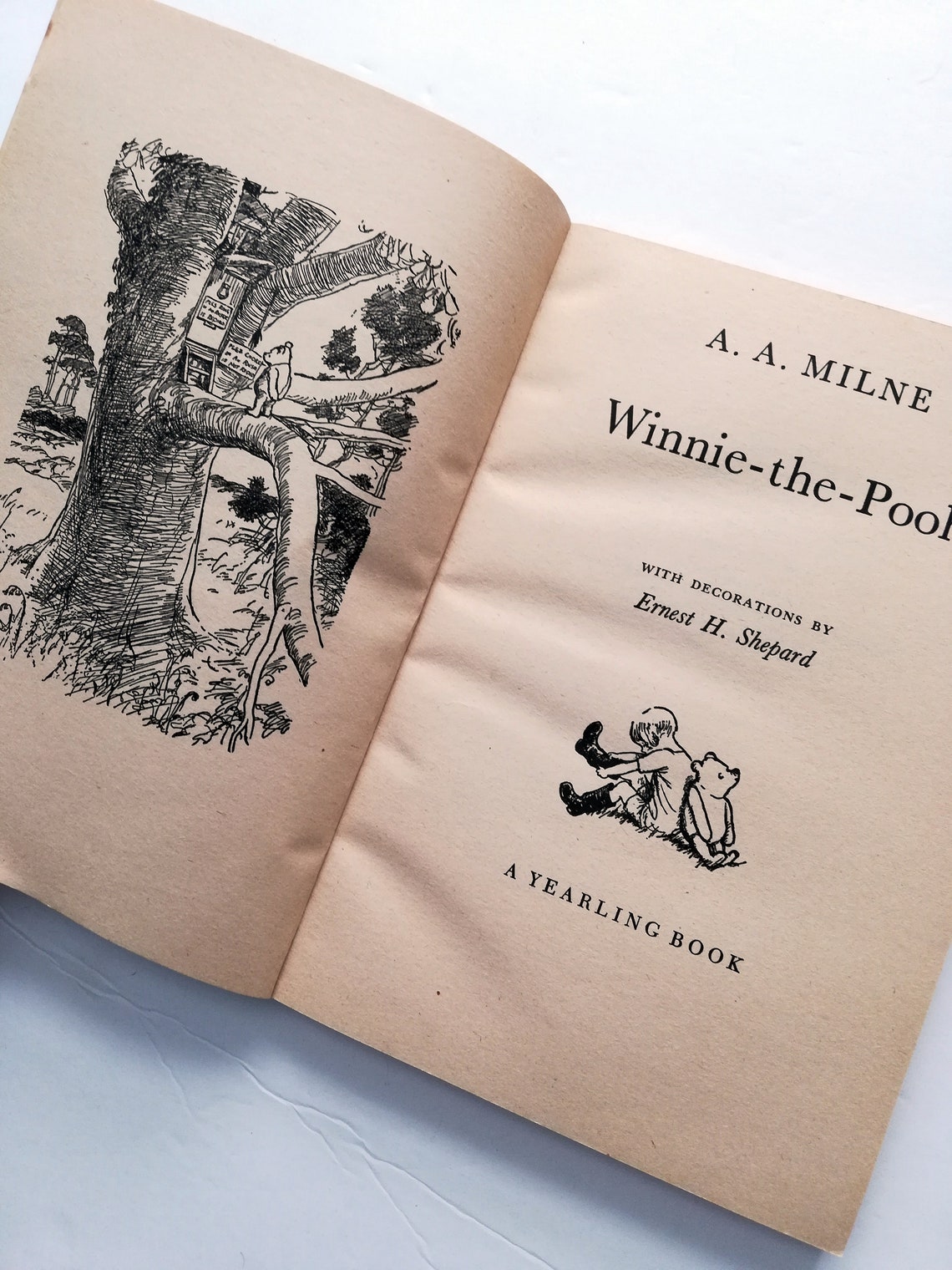 Winnie-the-pooh A.A. Milne Ernest H Shepard Illustrations - Etsy