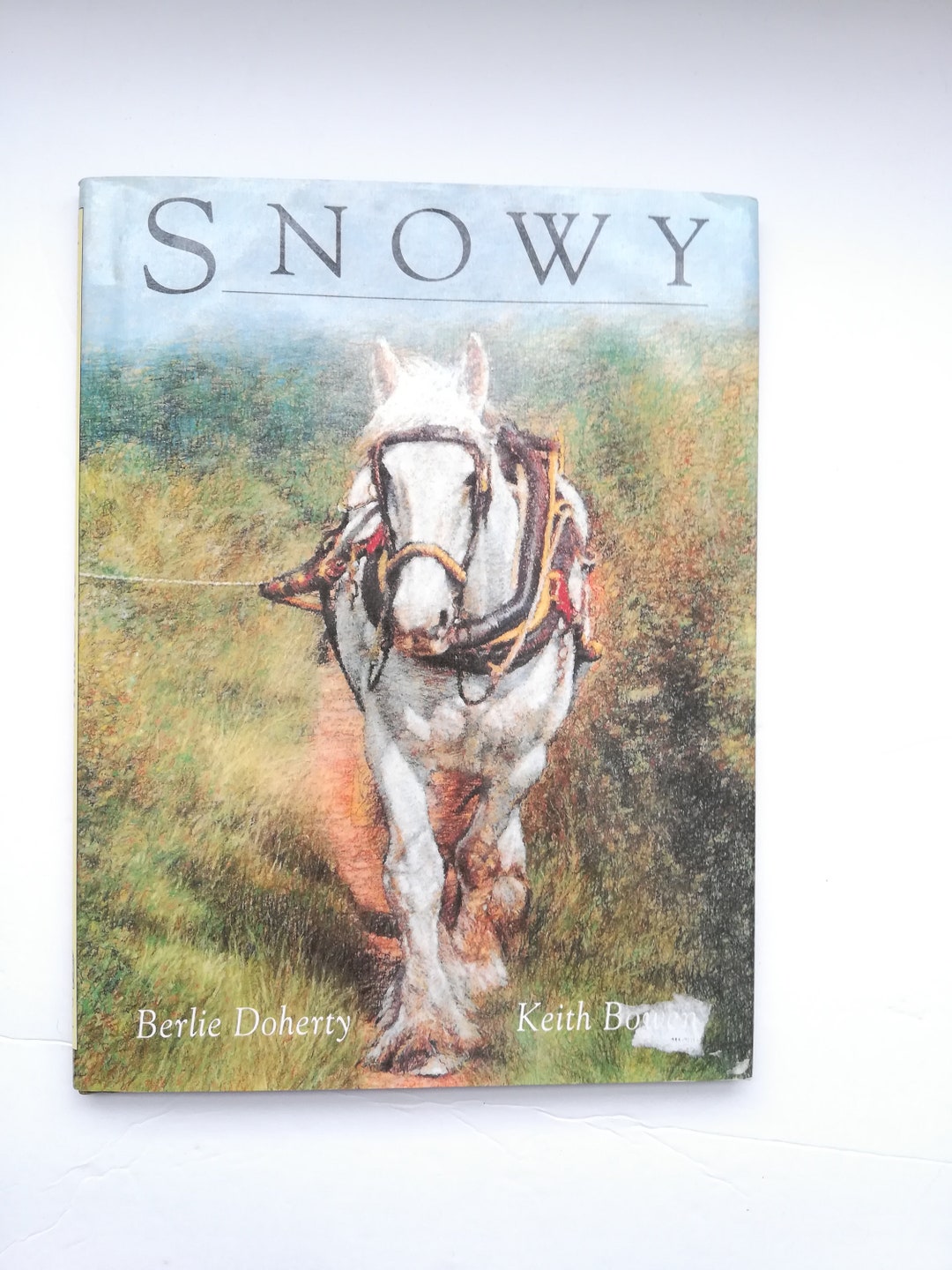 Snowy by Berlie Doherty 1992 - Etsy