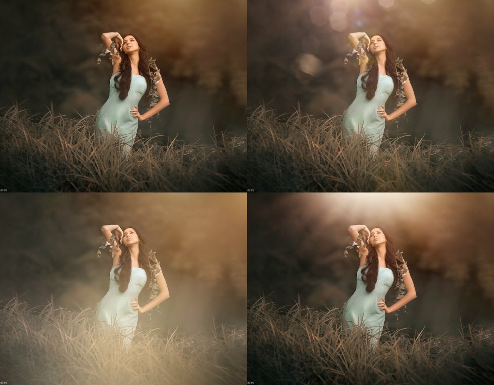 50 Natural Light photo Overlays Photoshop overlays Sun light | Etsy