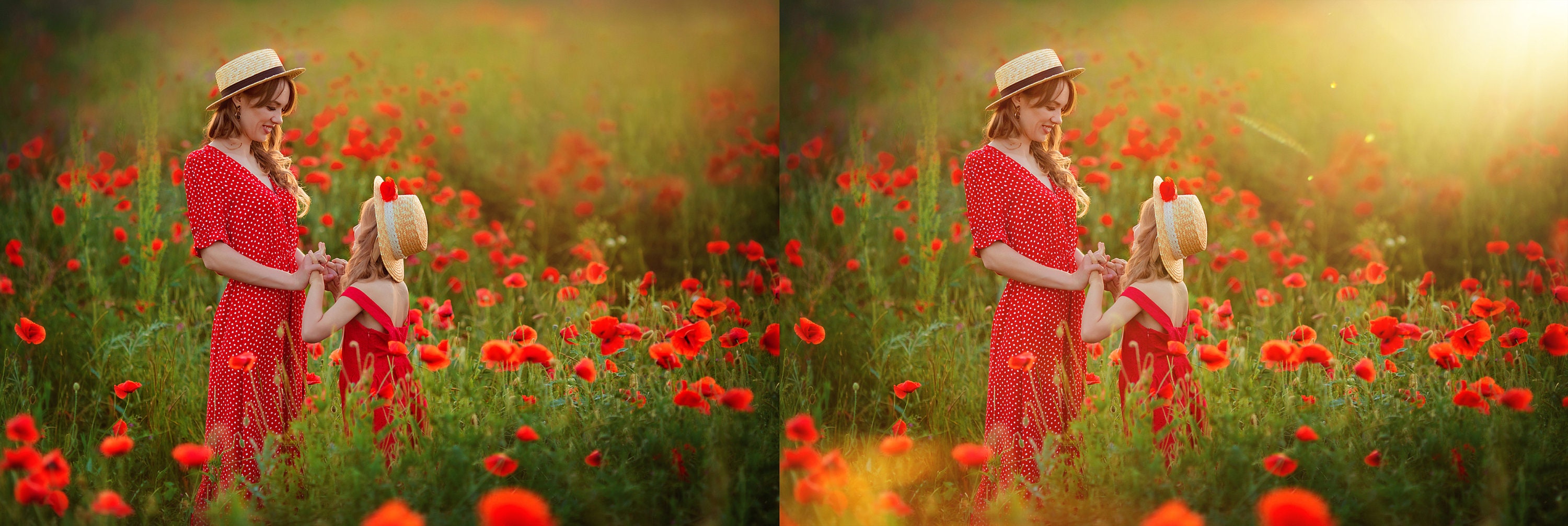 Light Photo Overlays Mini Bundle Summer Overlays Autumn - Etsy Canada