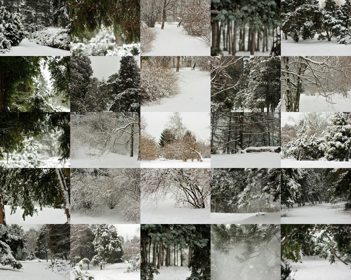 25 Winter Digital Backdrops Winter Forest Snow Backdrops | Etsy