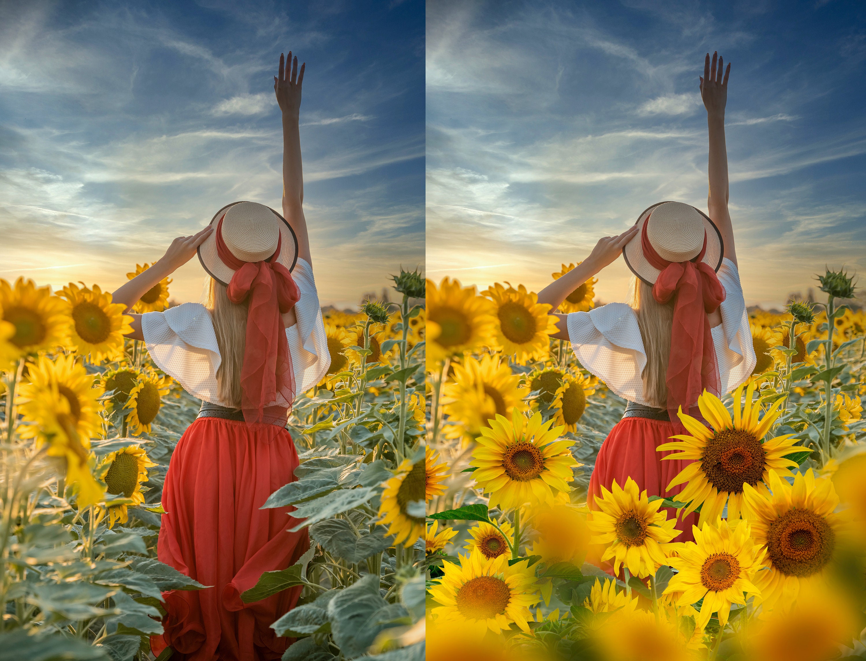 Sunflower Photo Overlays Summer Photo Overlays - Etsy Australia