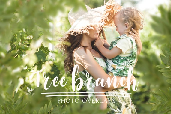 35 Tree Branch Photo Overlays - Etsy