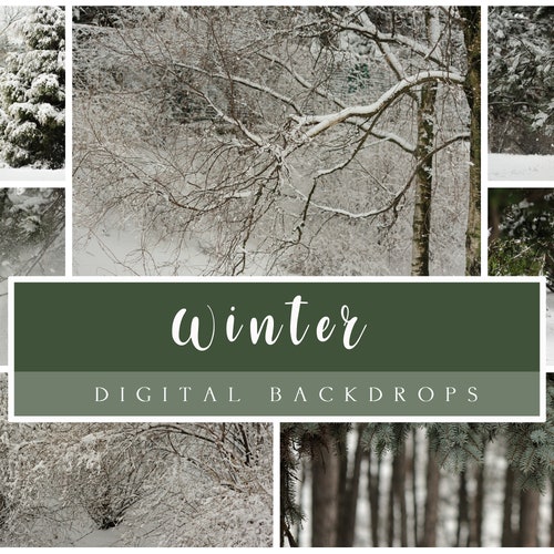 25 Winter Digital Backdrops Winter Forest Snow Backdrops - Etsy