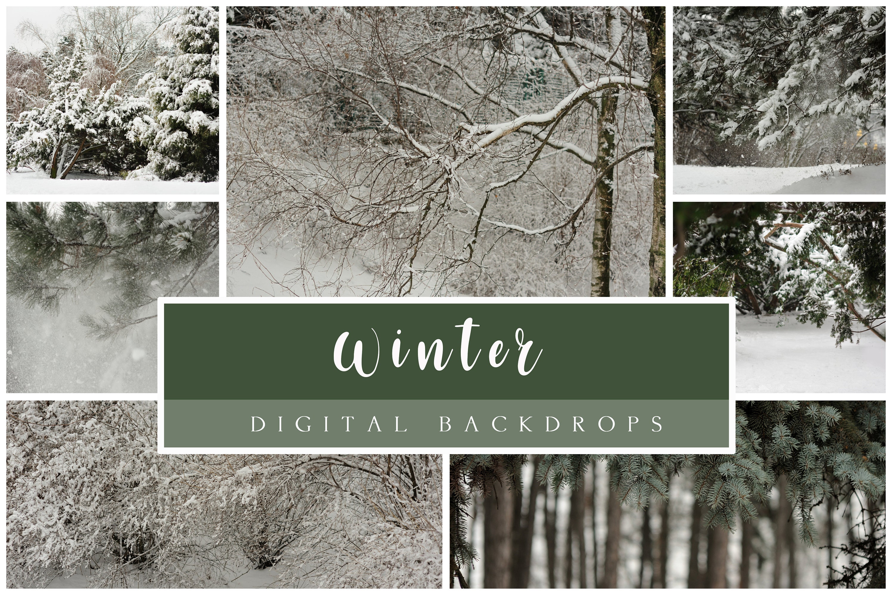 25 Winter Digital Backdrops Winter Forest Snow Backdrops - Etsy