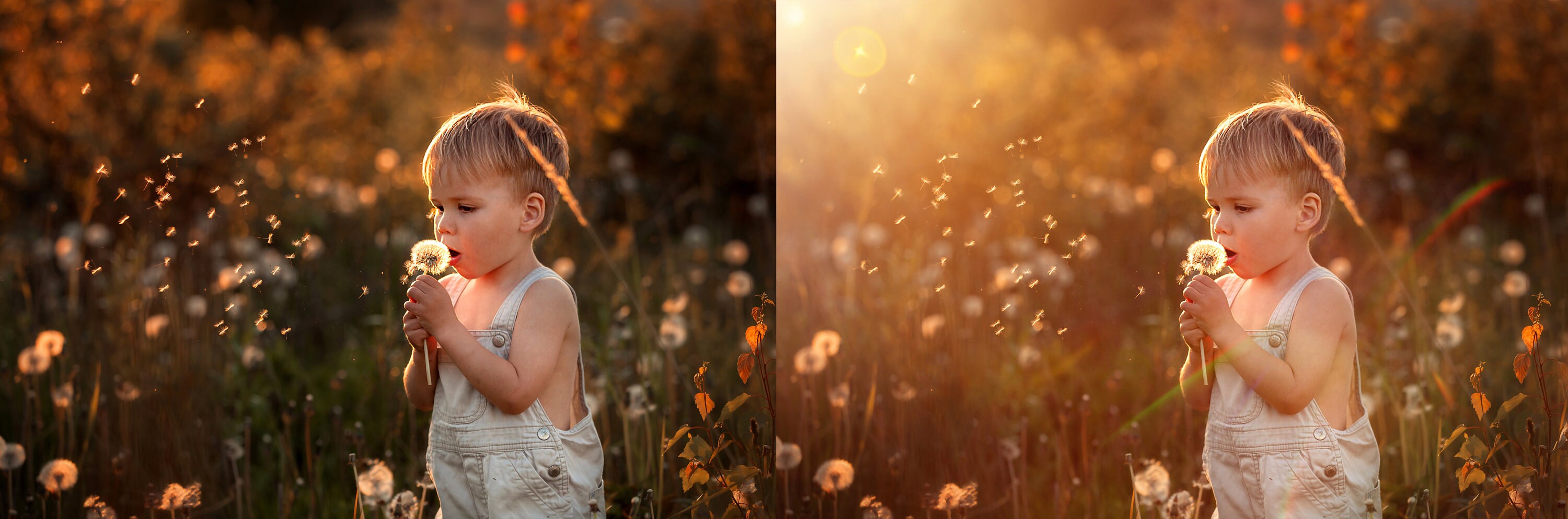 Light Photo Overlays Mini Bundle Summer Overlays Autumn - Etsy Canada