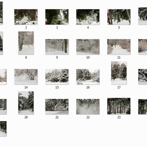 25 Winter Digital Backdrops, Winter Forest, Snow Backdrops - Etsy