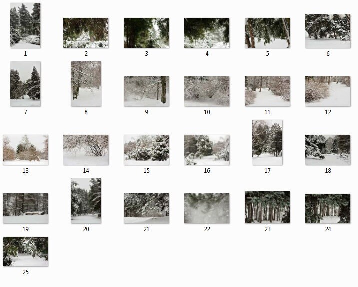 25 Winter Digital Backdrops Winter Forest Snow Backdrops | Etsy