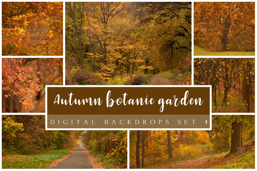Autumn Botanic Garden Digital Backdrops Set 4 Fall Autumn - Etsy