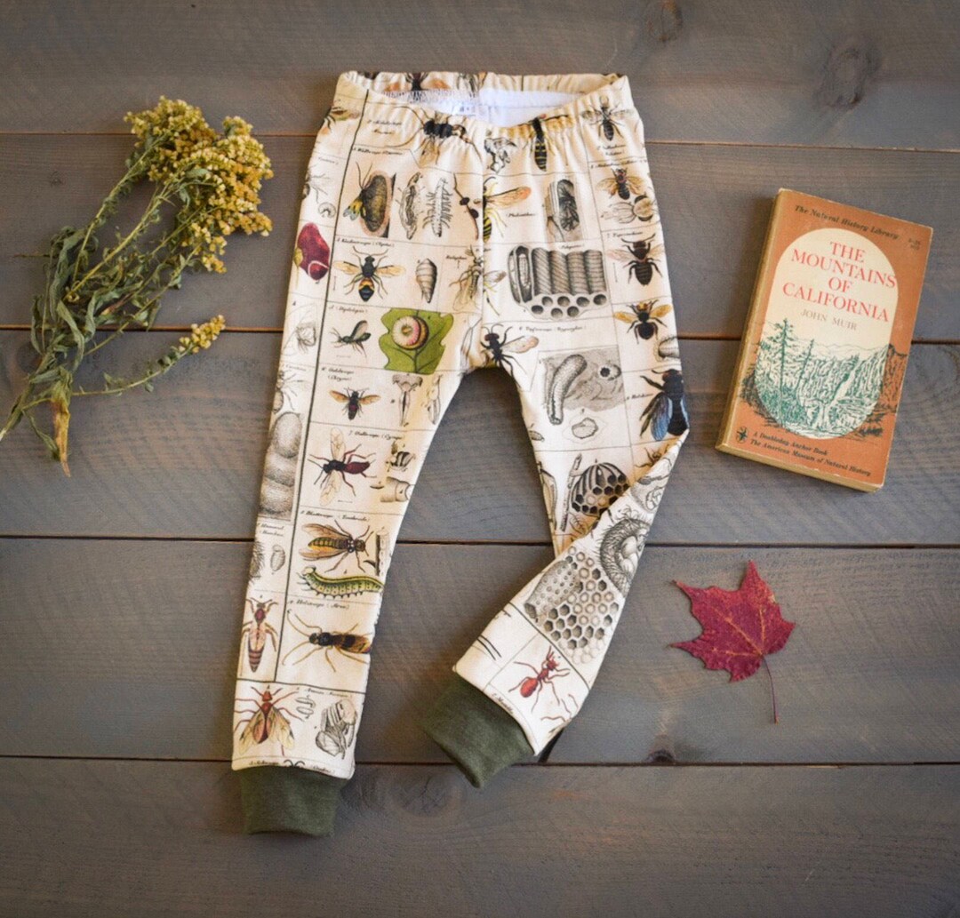 Baby Toddler Leggings : Bugs, Insect Vintage Baby Pants, Toddler Bug ...