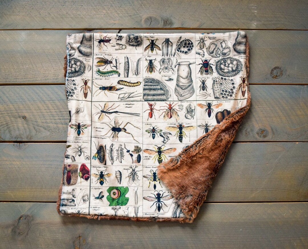 Lovey : Bugs, Insects Bug Baby Blanket, Security Blanket Nature ...