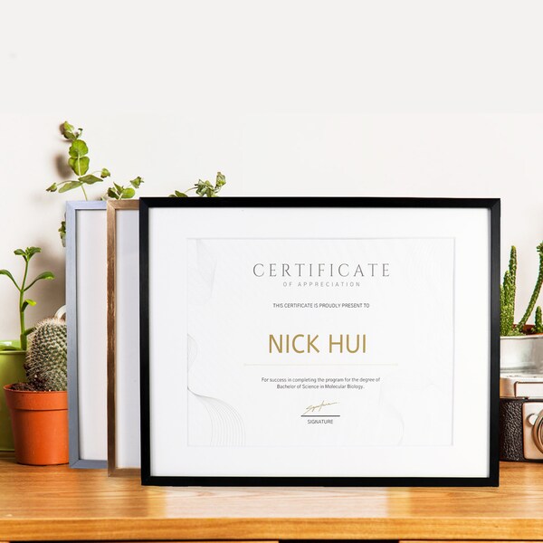 Diploma Frame - Etsy