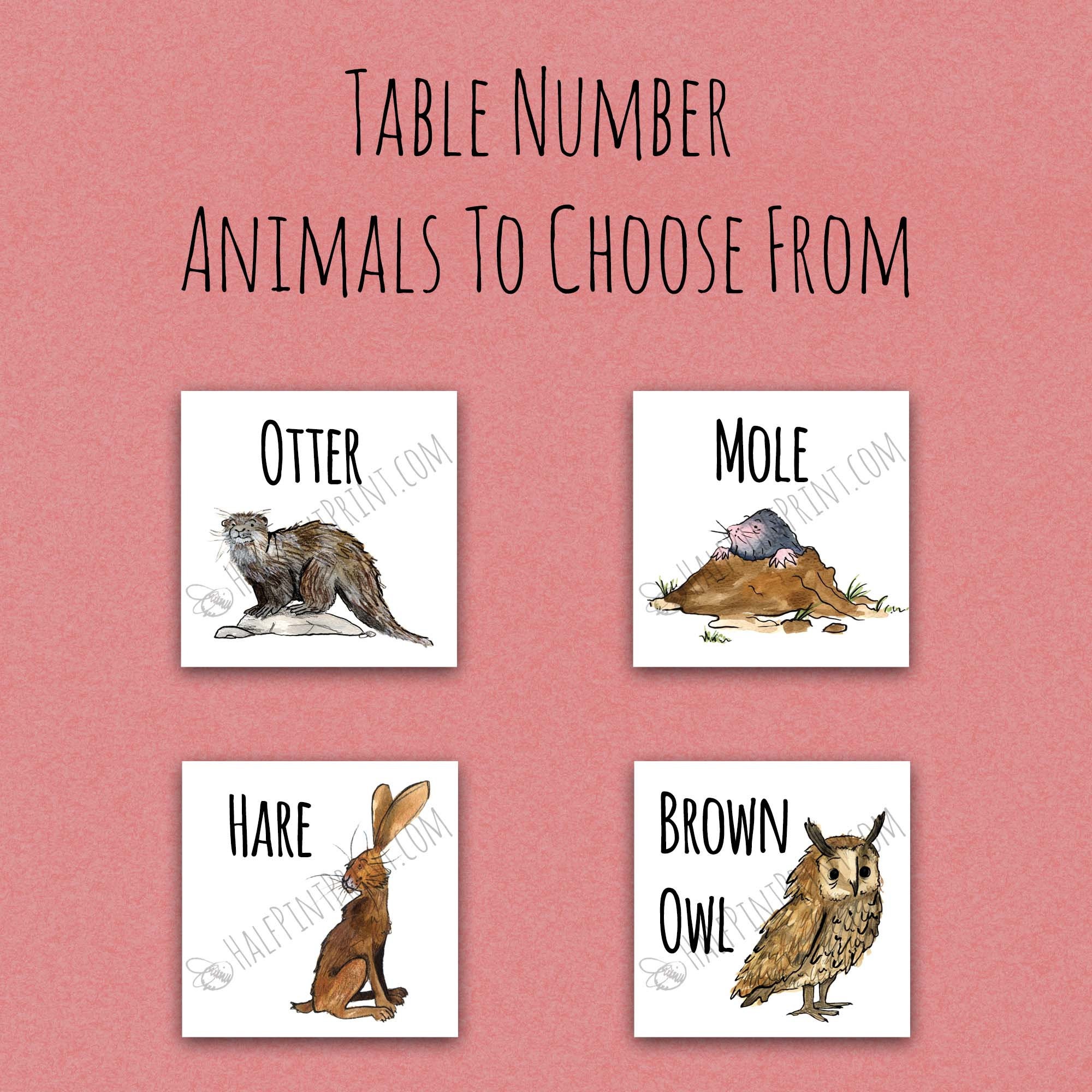 Illustrated Woodland Animal Table Numbers - Etsy UK