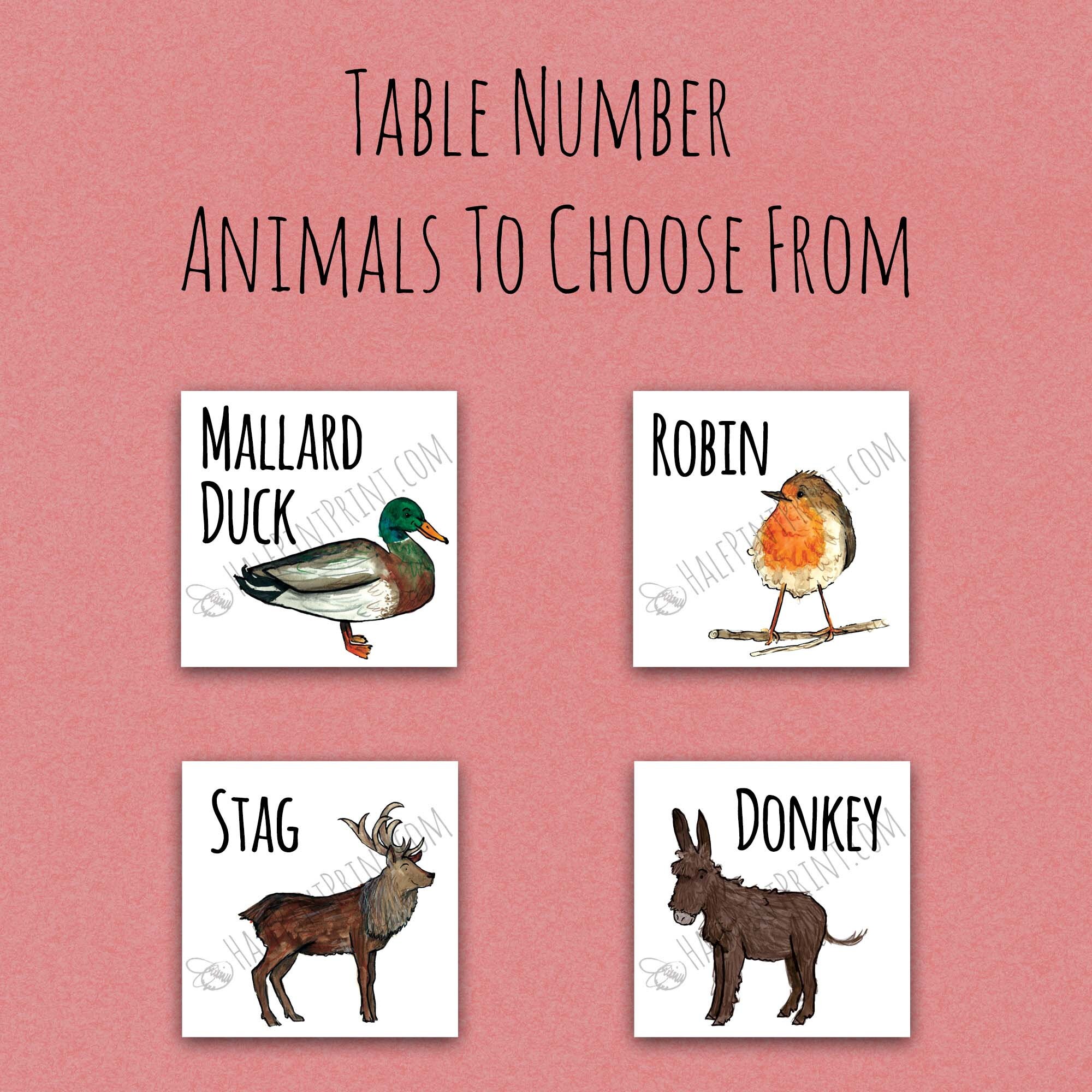 Illustrated Woodland Animal Table Numbers | Etsy UK