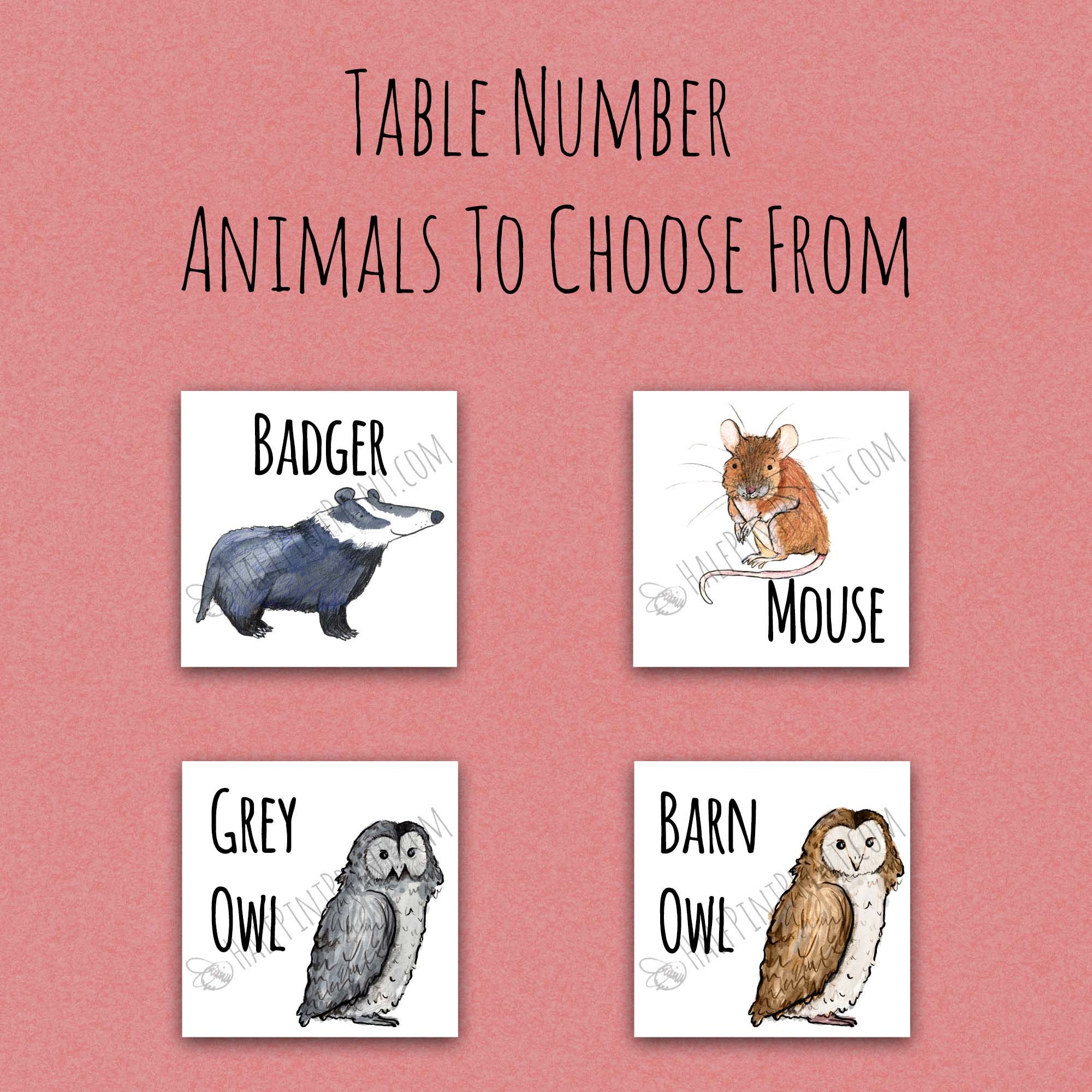 Illustrated Woodland Animal Table Numbers | Etsy UK