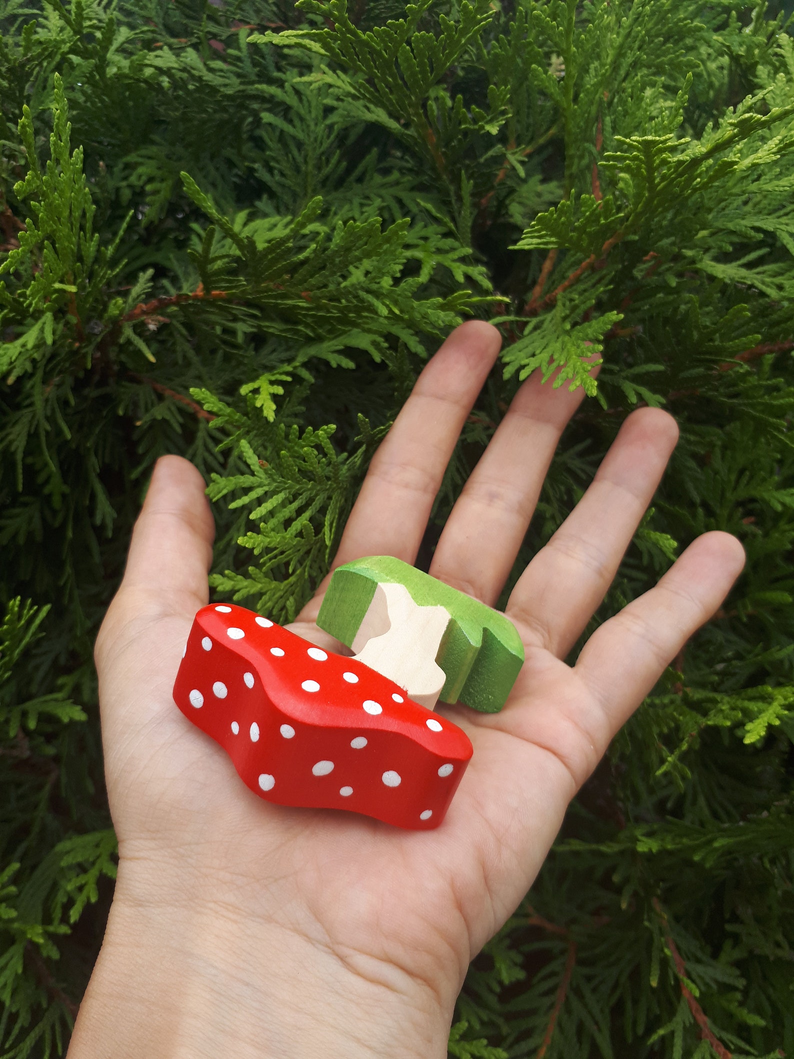 Magic Garden Set Wooden Toys Mushrooms and Flowers Toys - Etsy