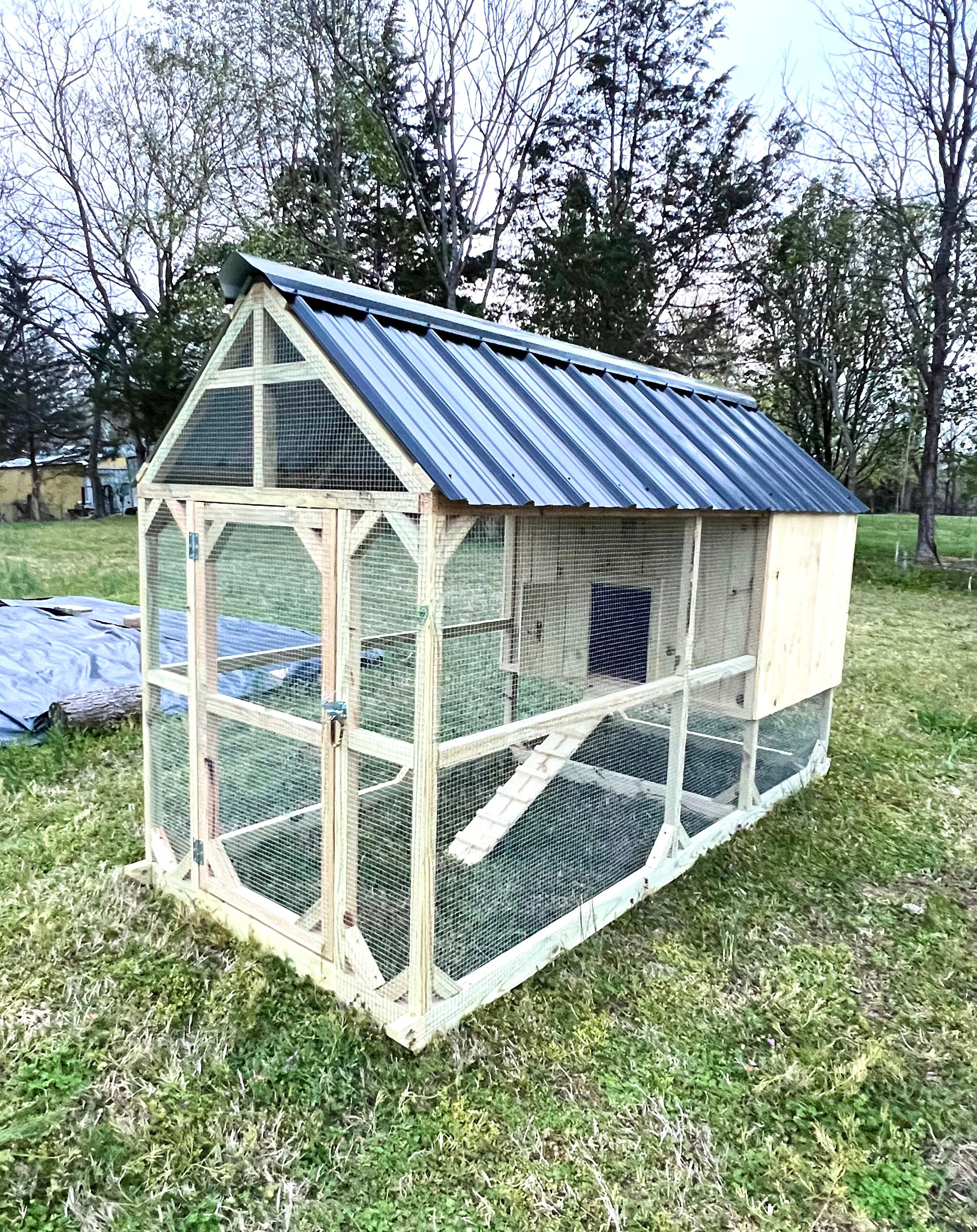 Fancy Chicken Coops Interior