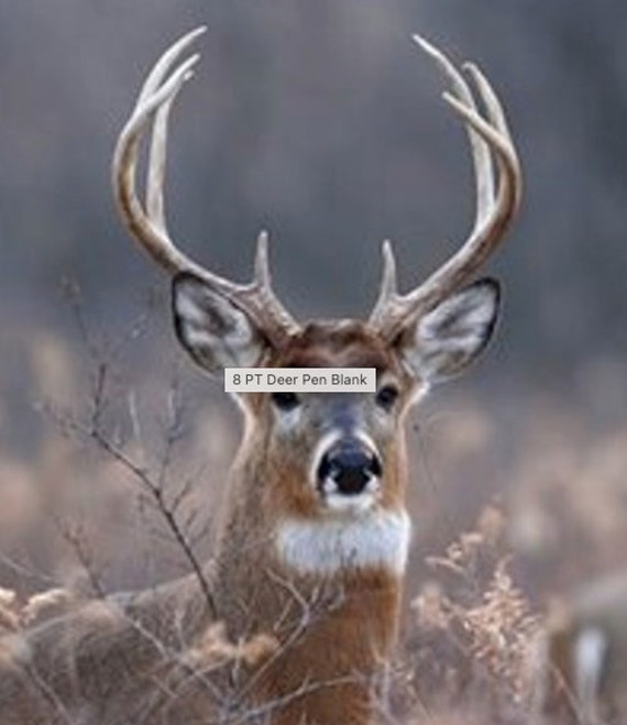 8 PT Deer Pen Blank Acrylic Label Cast Pen Blank for Bolt - Etsy