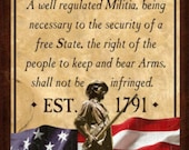 2nd Amendment Patriotic 2 Acrylic Label Cast Pen Blank for - Etsy