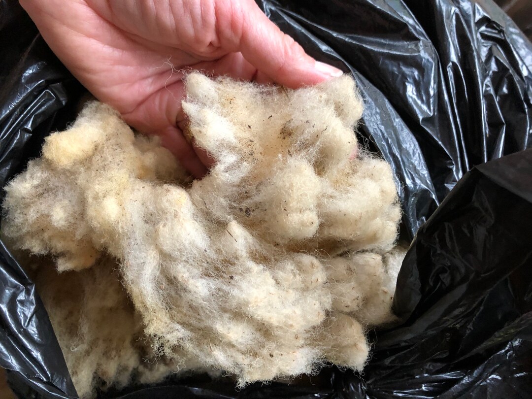 Se2se - Raw Hog Island Sheep Wool Shave 'em 2 Save 'em Stamp Included ...