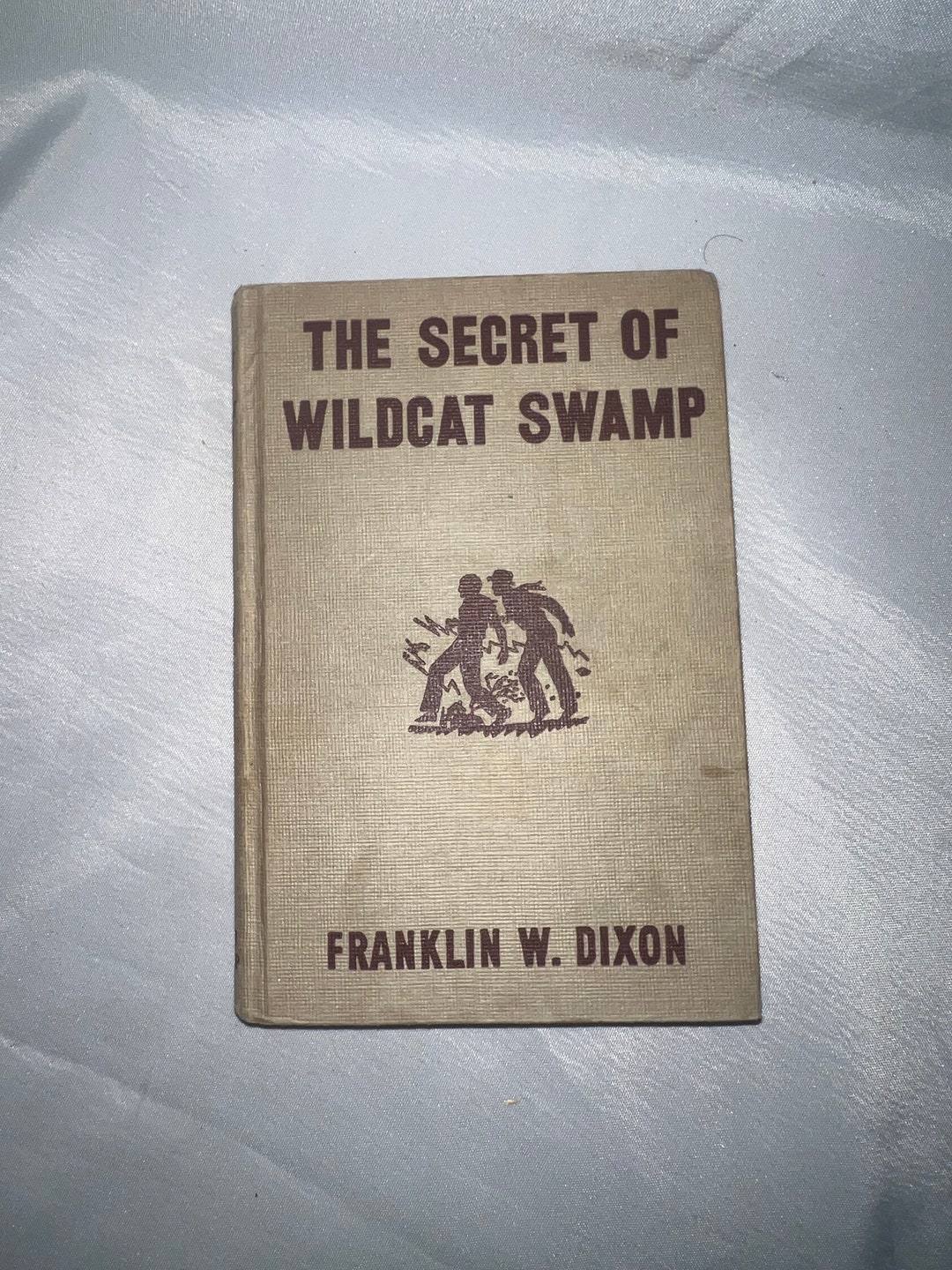 The Secret of Wildcat Swamp - Etsy