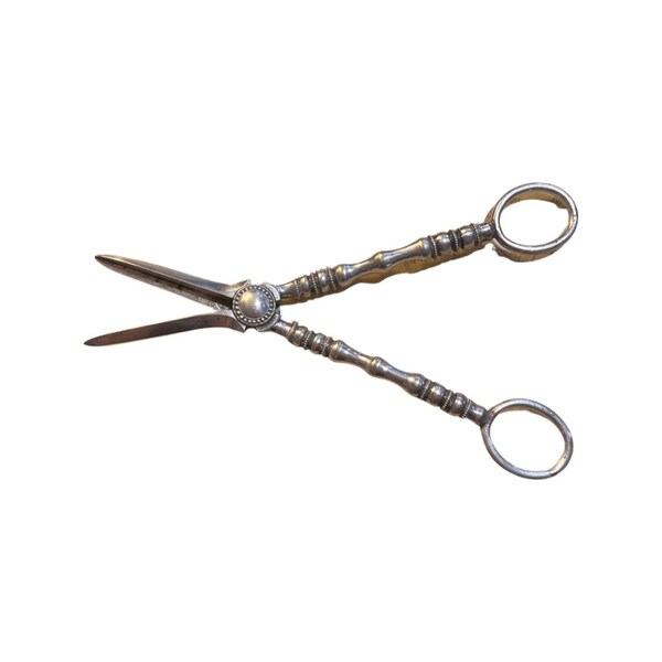 Ornate Scissors - Etsy