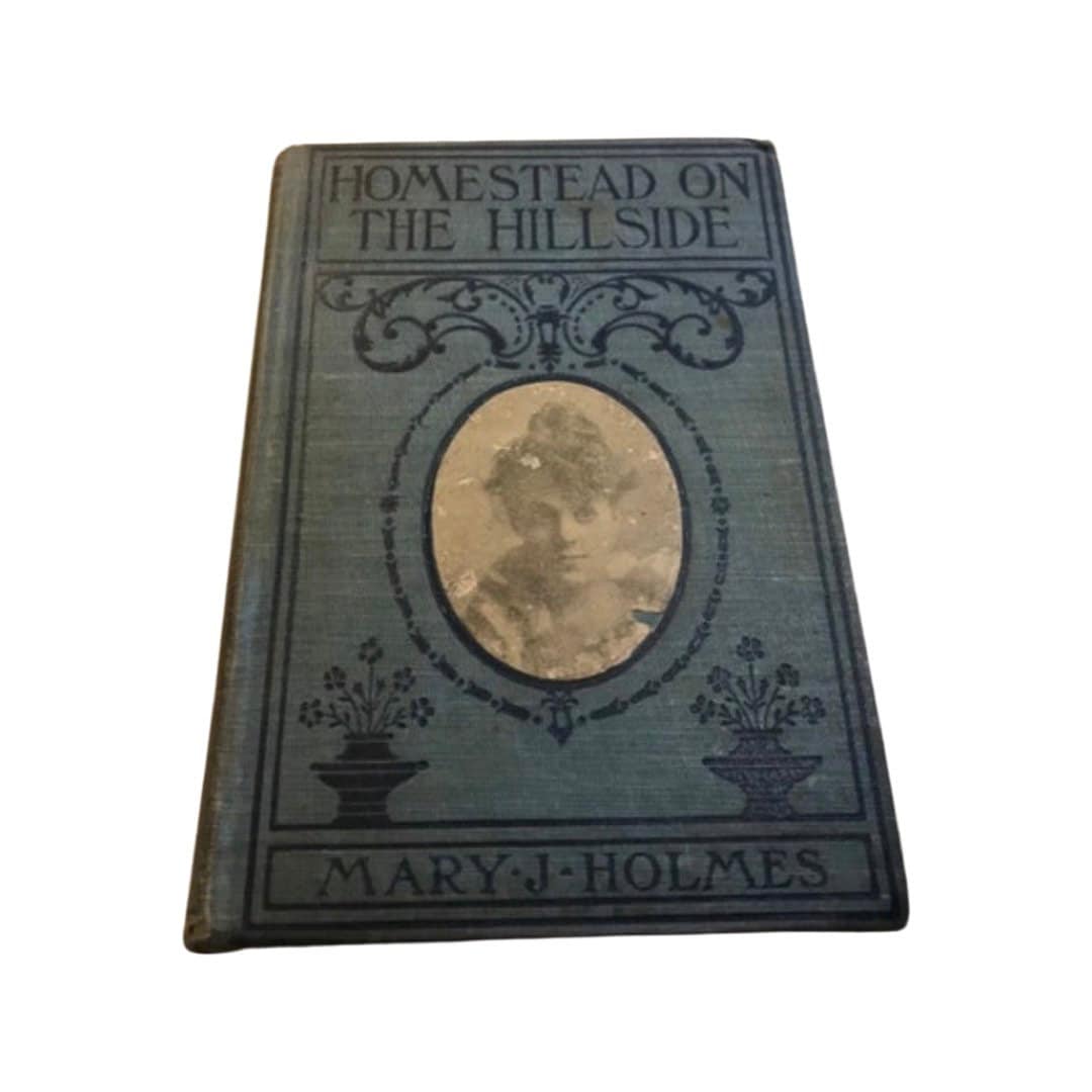 Homestead on the Hillside by Mary J Holmes Literature - Etsy