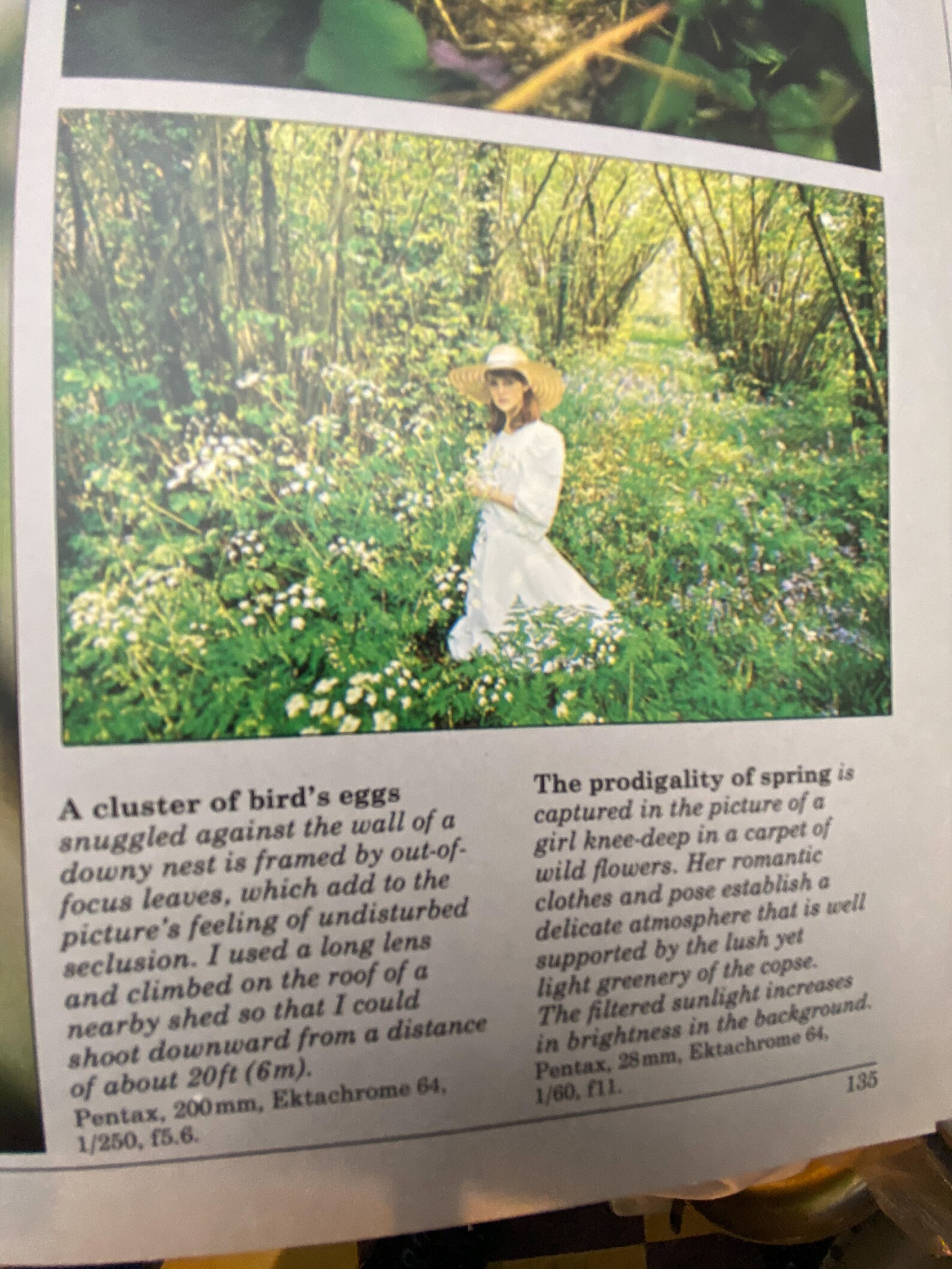 The Art of Color Photography by John Hedgecoe | Etsy