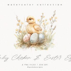 Baby Chicken & Easter Eggs Clipart, Watercolor Chicken, Spring Png ...
