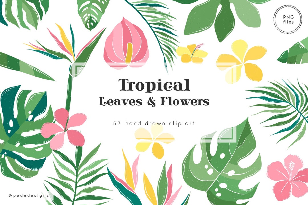 Colorful Tropical Leaves & Flowers, Green Clip Art, Monstera, Palm Tree ...