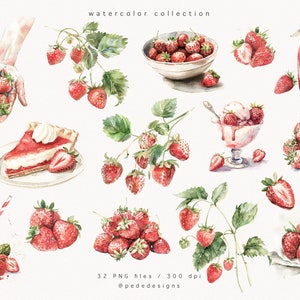 Strawberries Clipart, Watercolor Food Clipart, Fruit Clipart, Vege ...