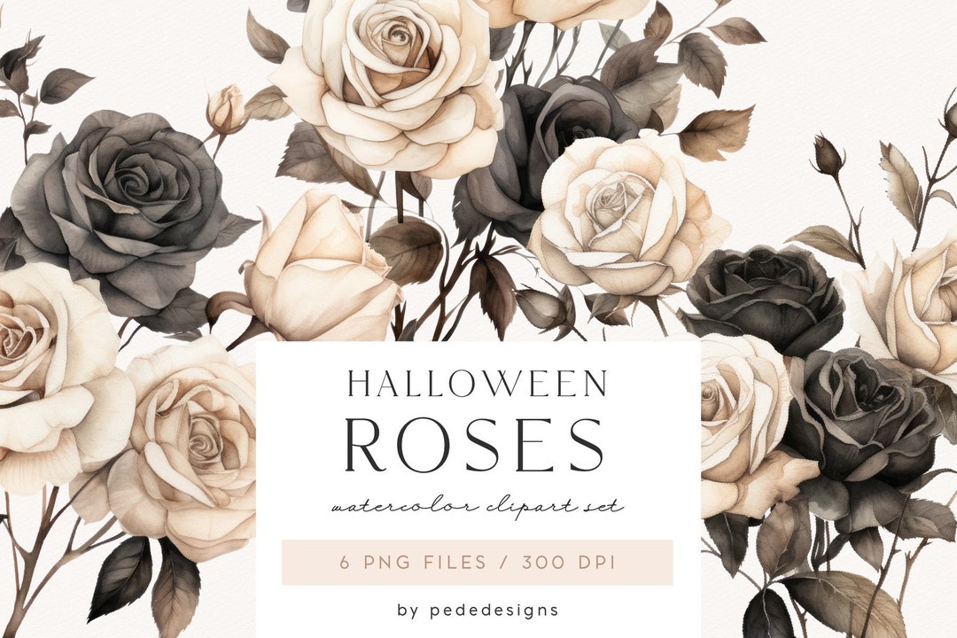 Halloween Roses, Watercolor Flowers, White Roses, Black Roses Png ...