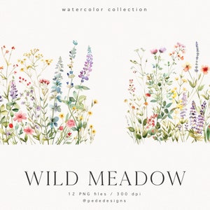 Wild Meadow, Watercolor Meadow Clipart, Watercolor Wild Floral, Floral ...