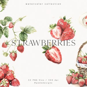 Strawberries Clipart, Watercolor Food Clipart, Fruit Clipart, Vege ...