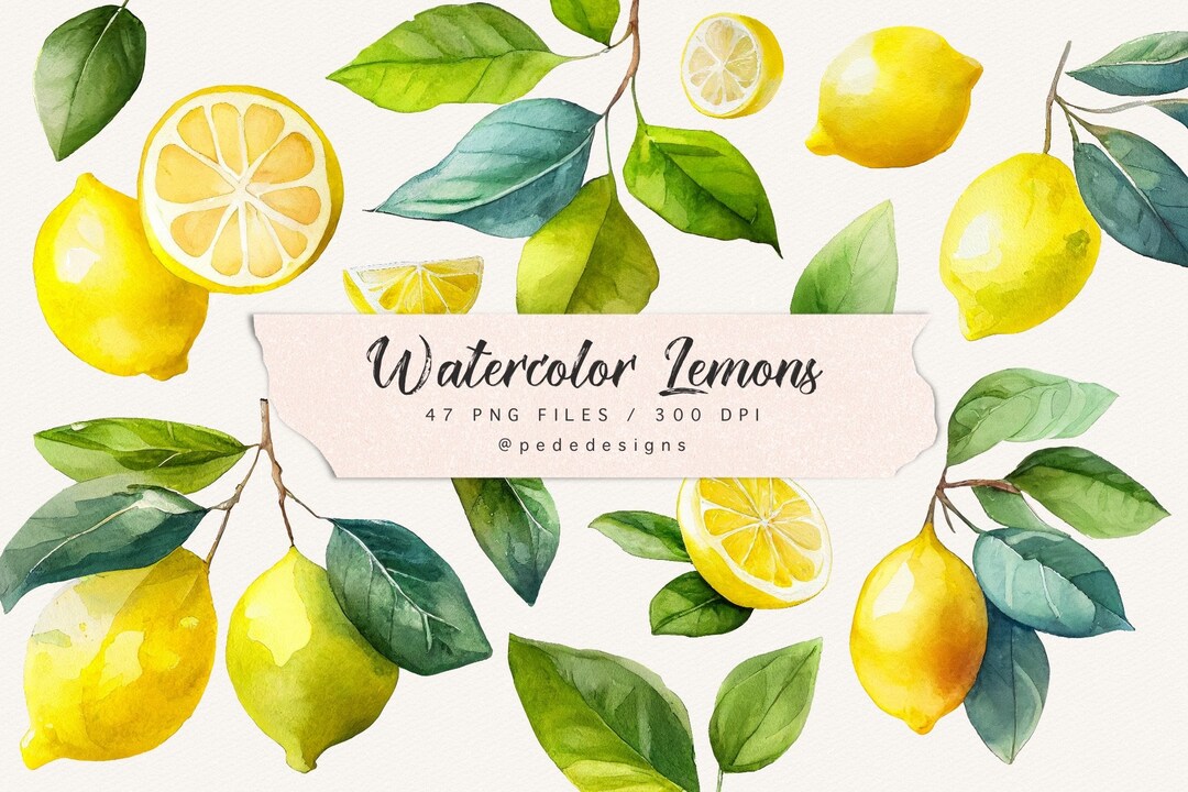 Watercolor Lemon Clip Art, Citrus Clipart, Lemons Illustration, Summer ...