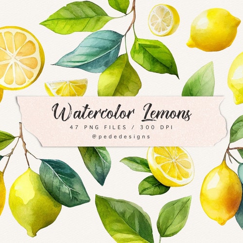 Watercolor Lemons Clipart Summer Citrus Greenery Clipart Png - Etsy