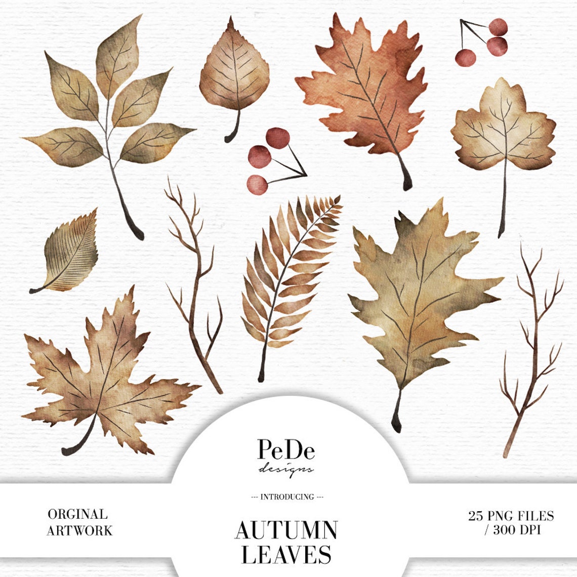 Watercolor Autumn Leaves Clip Art Pack Autumn Cliparts | Etsy