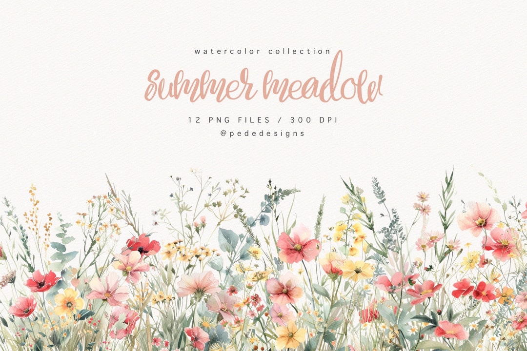 Summer Meadow, Watercolor Wild Flowers Clipart, Watercolor Floral ...