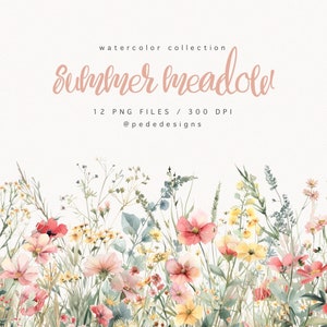 Summer Meadow, Watercolor Wild Flowers Clipart, Watercolor Floral ...