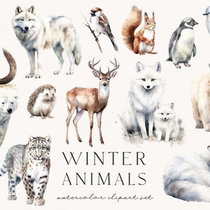 Watercolor Winter Animals Clipart, Arctic Animals, Woodland Animals ...