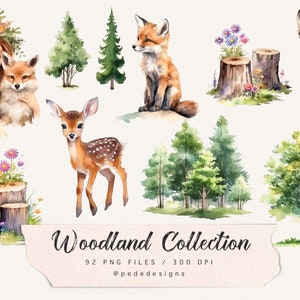 Watercolor Woodland Clip Art, Woodland Animals, Forest Animals, Nursery ...