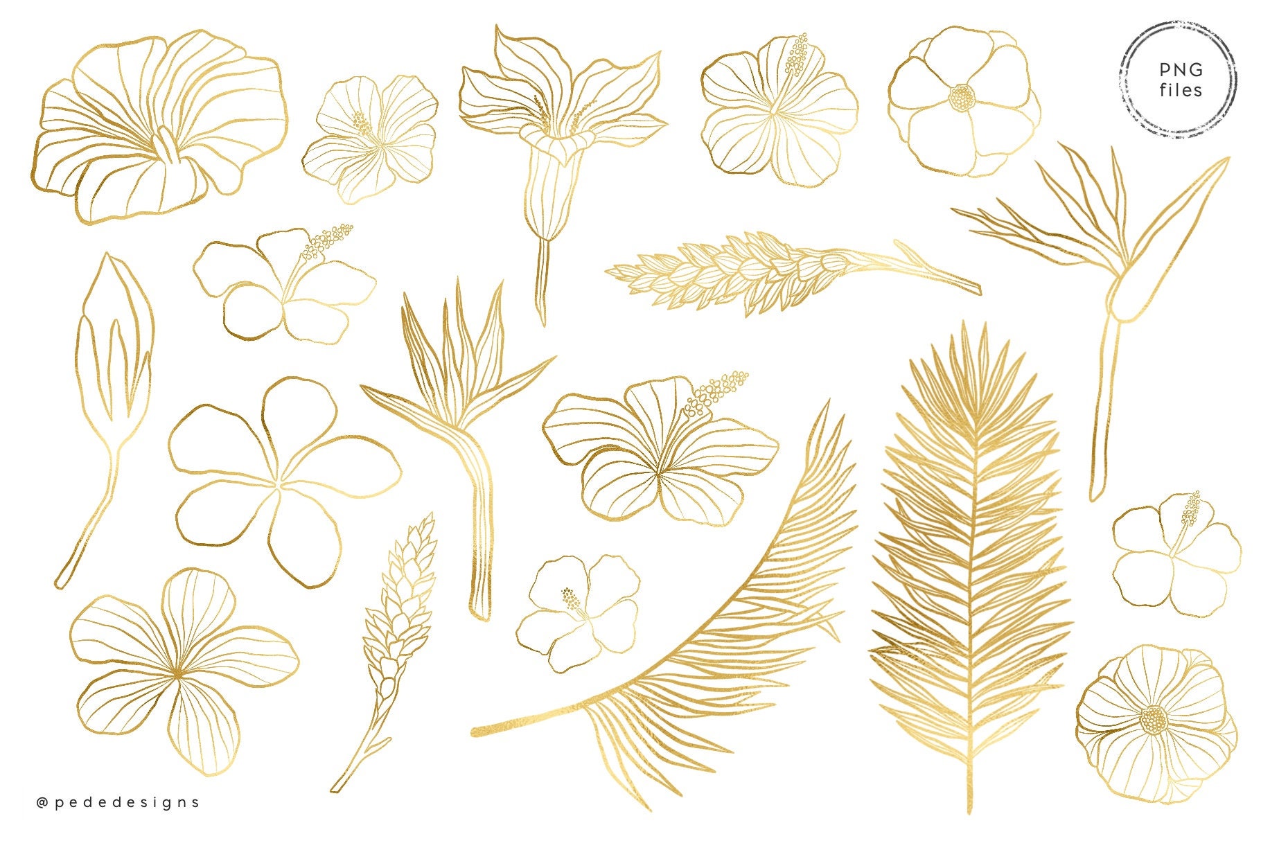 Gold Tropical Leaves Clip Art Botanical Monstera Gold Foil - Etsy