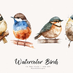 Watercolor Birds Clip Art, Tiny Colorful Birds Clipart, Bird Png ...